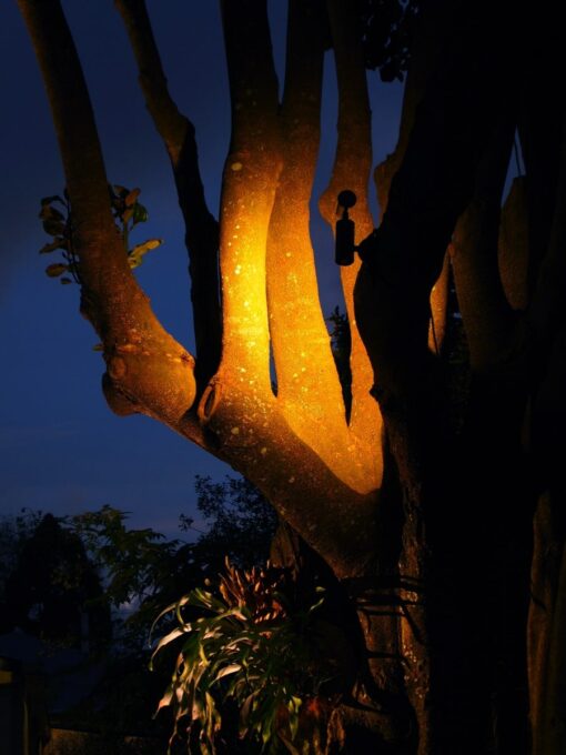 Tree Mount High Power - Hunza Outdoor Lighting